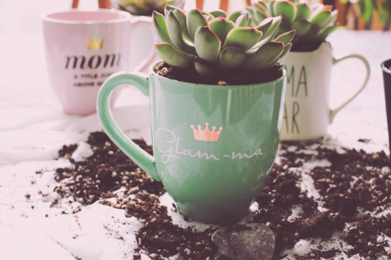 Easy DIY Succulent Planters | Mother's Day Gift Idea - A Dash of Dee