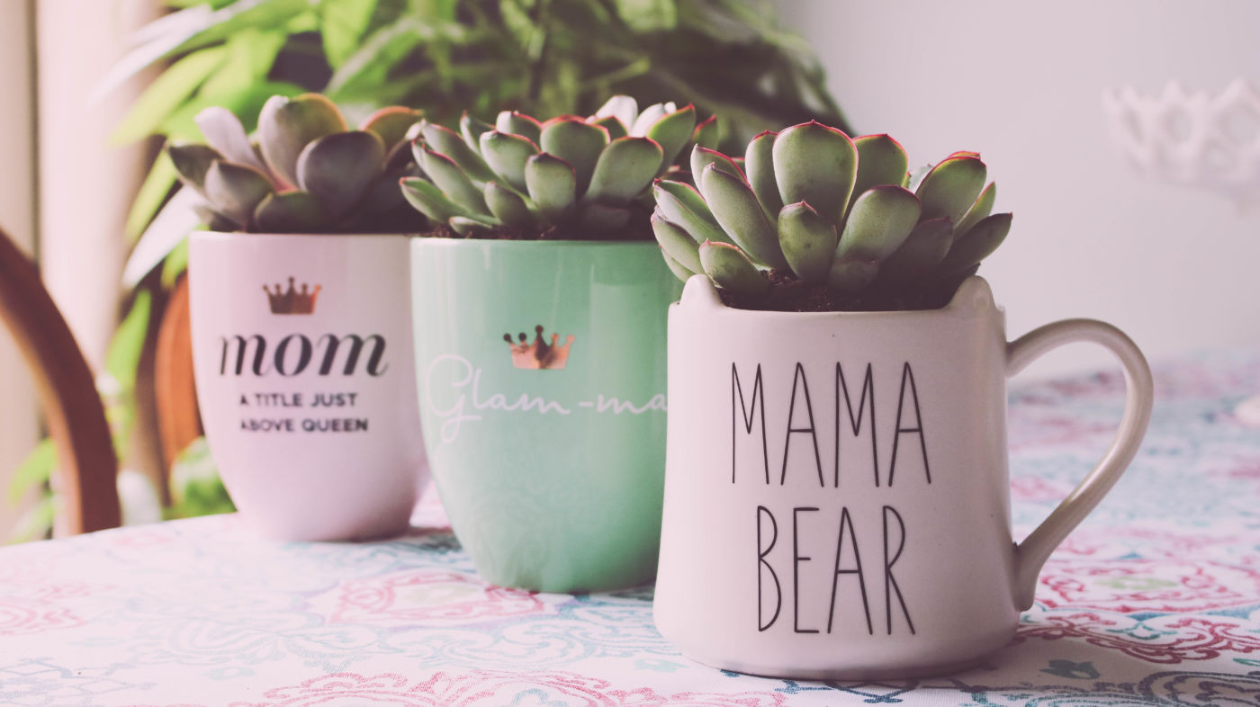 Easy DIY Succulent Planters | Mother's Day Gift Idea - A Dash of Dee